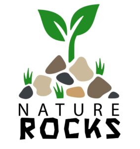 Nature Rocks | Hopelands Gardens in Aiken, South Carolina